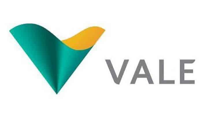 Brasileña Vale analiza alternativas para proyecto argentino ...