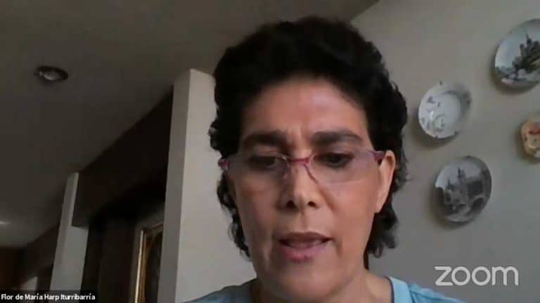 La titular del Servicio Geológico Mexicano en Mining Forum 2021 ...